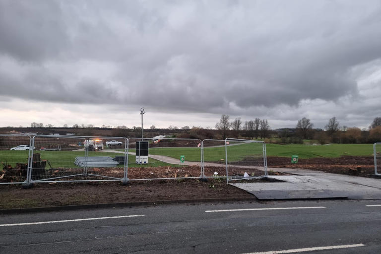 'It's heartbreaking': Row of large trees cut down in leafy Northampton ...