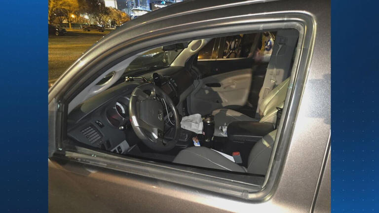 Fans left dismayed after car break-ins at Panthers’ playoff game