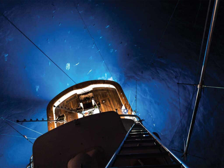 The Great Barrier Reef named Editor’s Choice for best black marlin ...