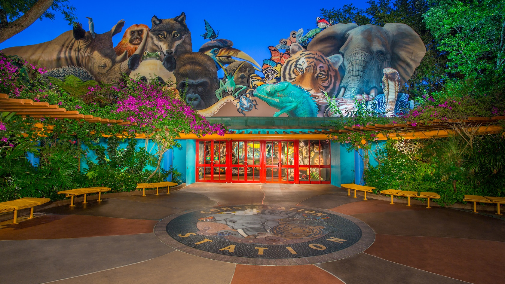 Animal Kingdom's sad petting zoo could close for Bluey?
