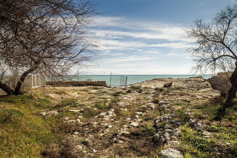 Lo spettacolo della Focara di Novoli 2026: info, dove e quando