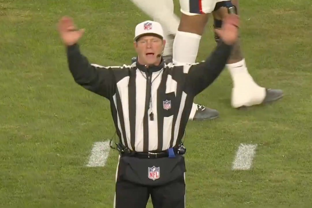 Texans-Steelers ref misspeaks, baffles NFL fans online