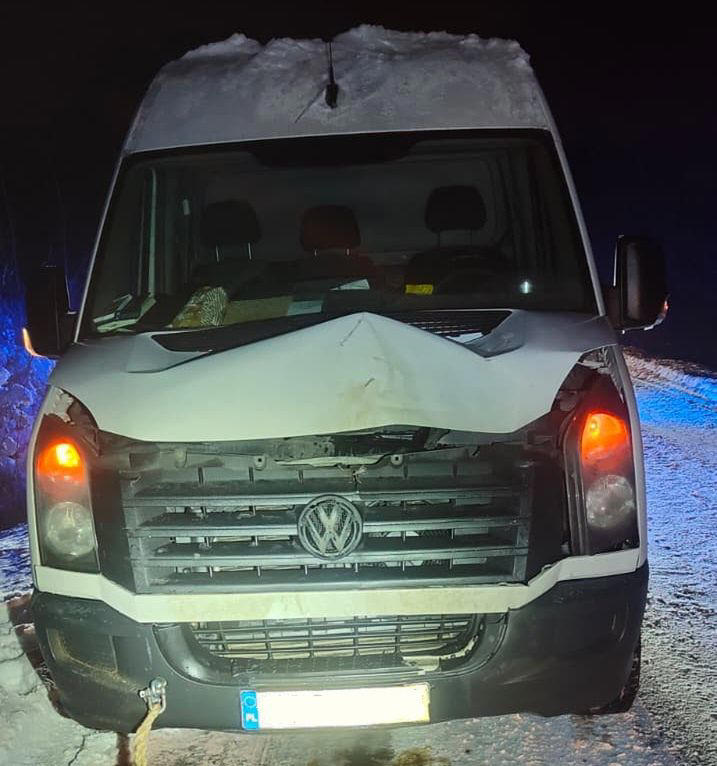 Zderzenie z łosiem na drodze Skórzany – Gostynin. Apel policji do ...