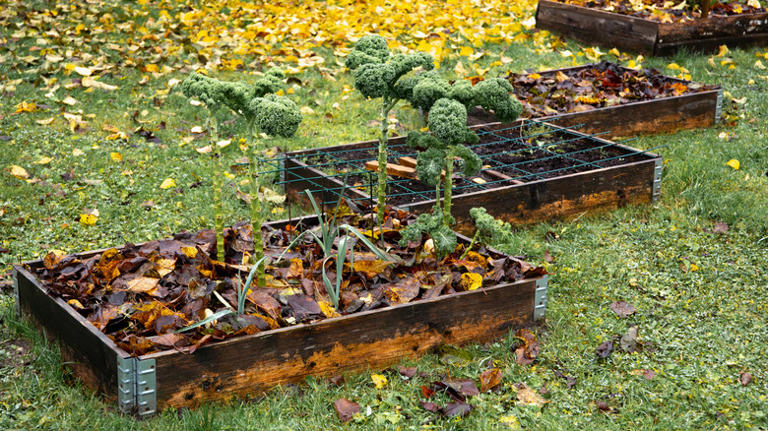 Why mulch is essential for gardens in the fall and winter