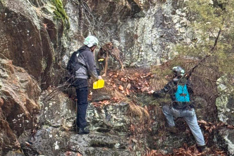 Firefighters take time to rescue missing pet on narrow cliff because ...