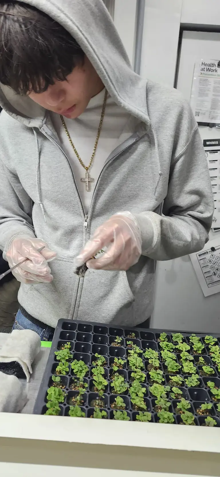 Rebuilding homes, tackling autism with AI: Meet winners of Zayed ...