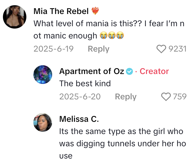 An apartment-dweller is renovating her place to look like the Titanic ...