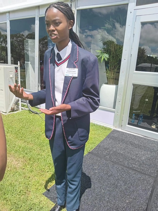 Celebrating Gauteng's top matric achievers: Inspiring success stories