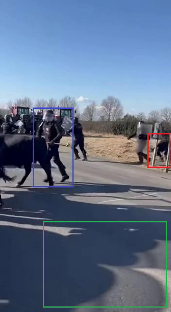 Cette vidéo de taureaux chargeant des policiers lors d'une ...