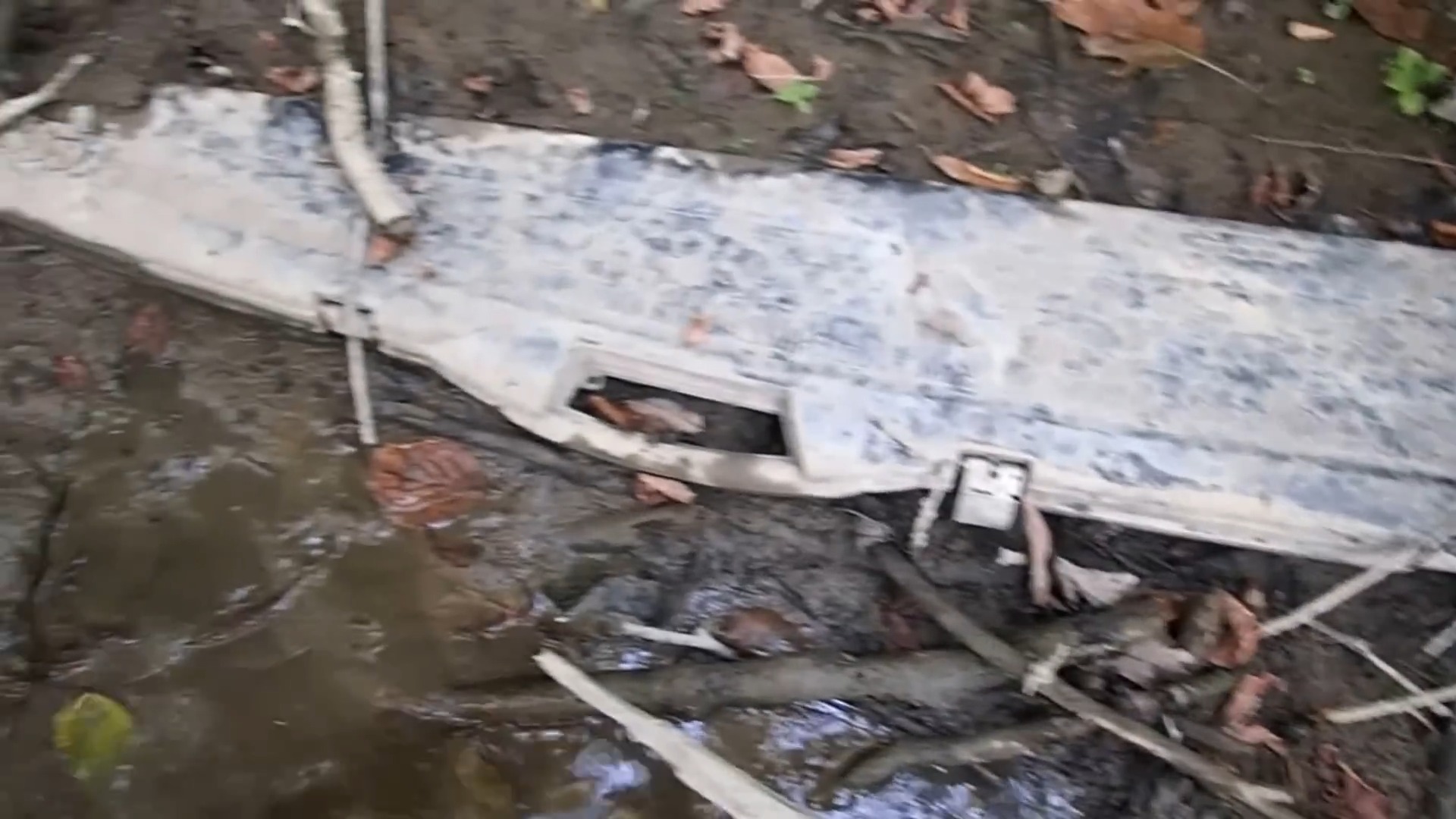 What I pulled from the creek… raised serious questions