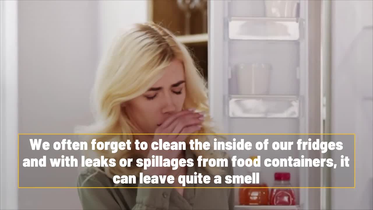 Banish odors: Simple fixes for a fresher home