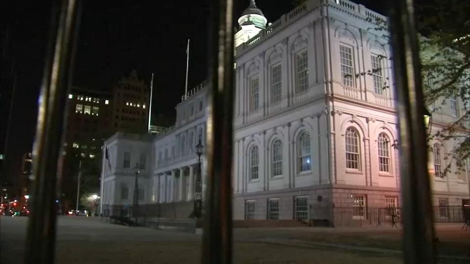 Protesters call for release of New York City Council data analyst ...