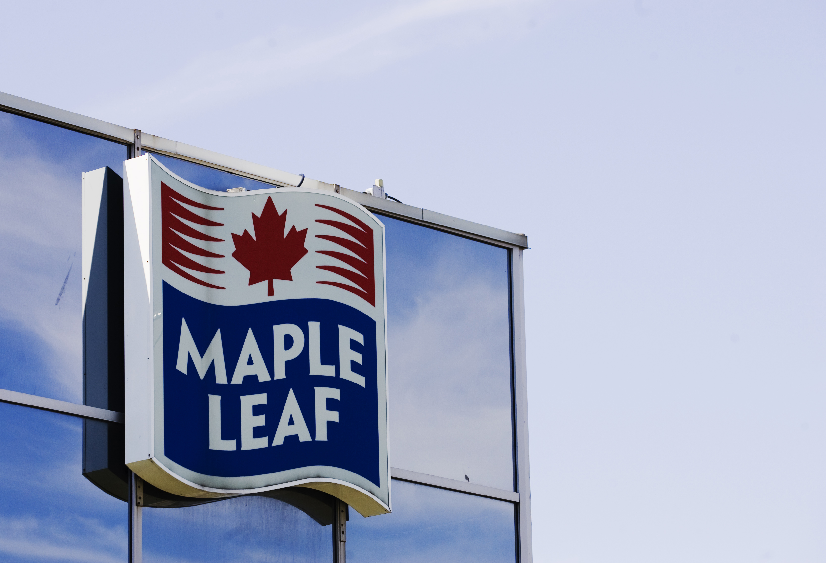 Maple Leaf Foods hikes dividend by 10%; stock rises