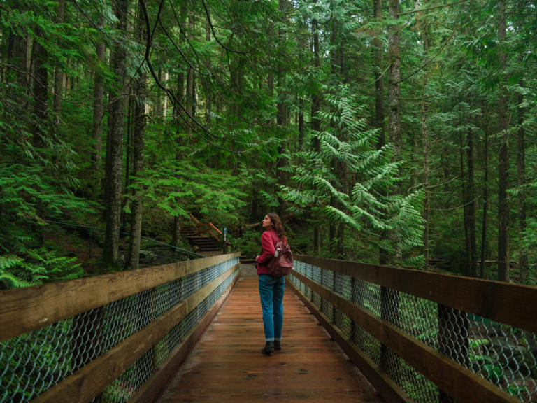 The best hiking trails in each state for beginners