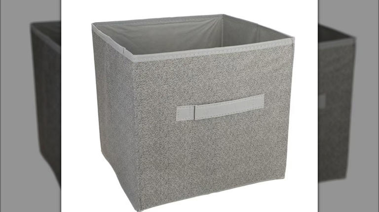 A Dollar Tree storage staple that actually belongs in the kitchen