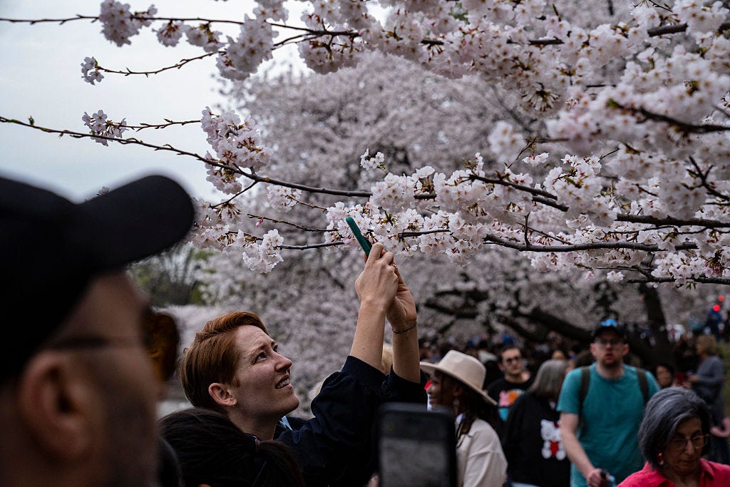 How many days until spring 2026? Here's what to know about spring equinox