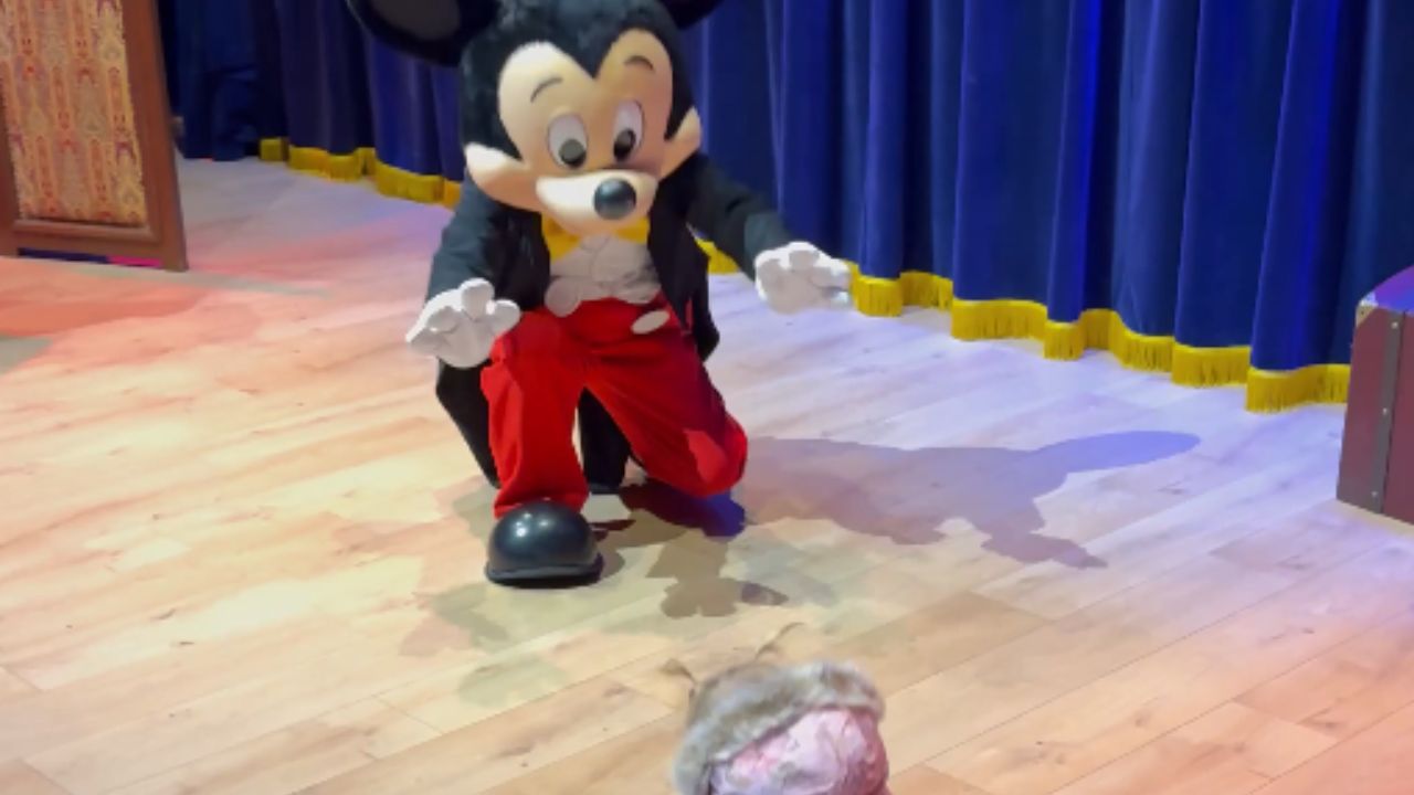 Heartwarming scene unfolds after toddler stumbles while greeting Mickey ...