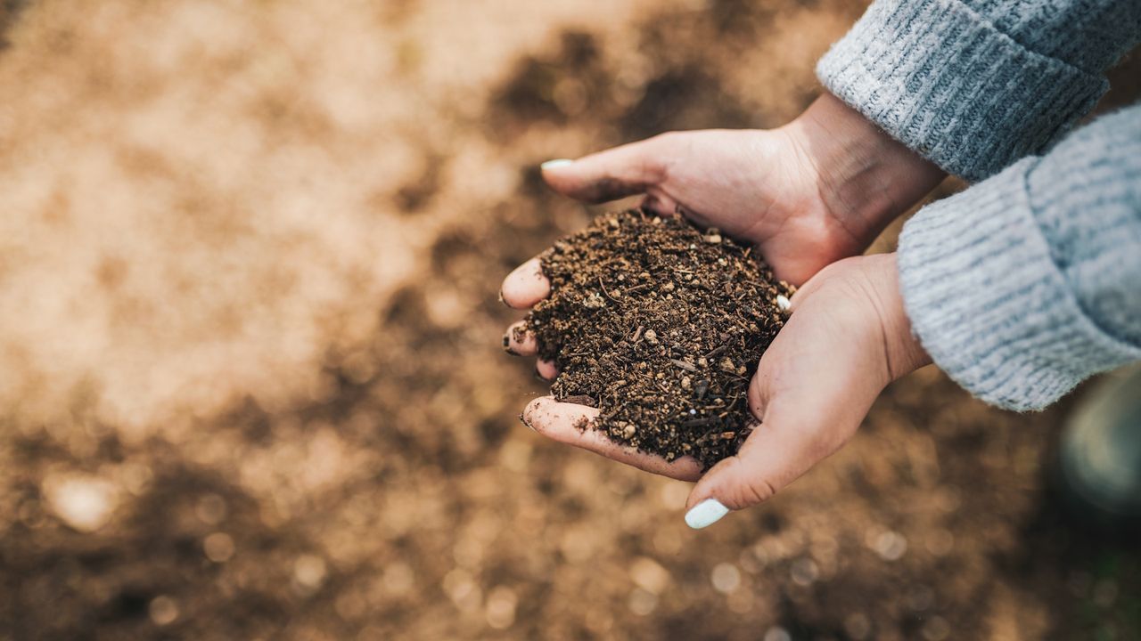 Never Put These 10 Items in Your Compost Bin, Say Gardening Experts