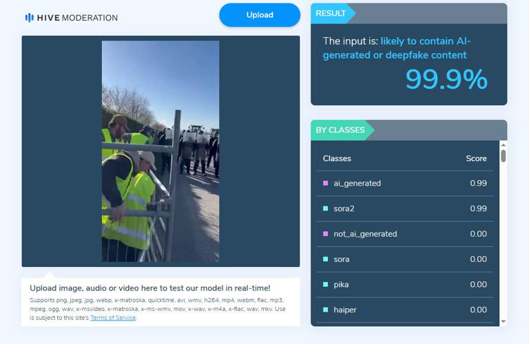 Cette vidéo de taureaux chargeant des policiers lors d'une ...