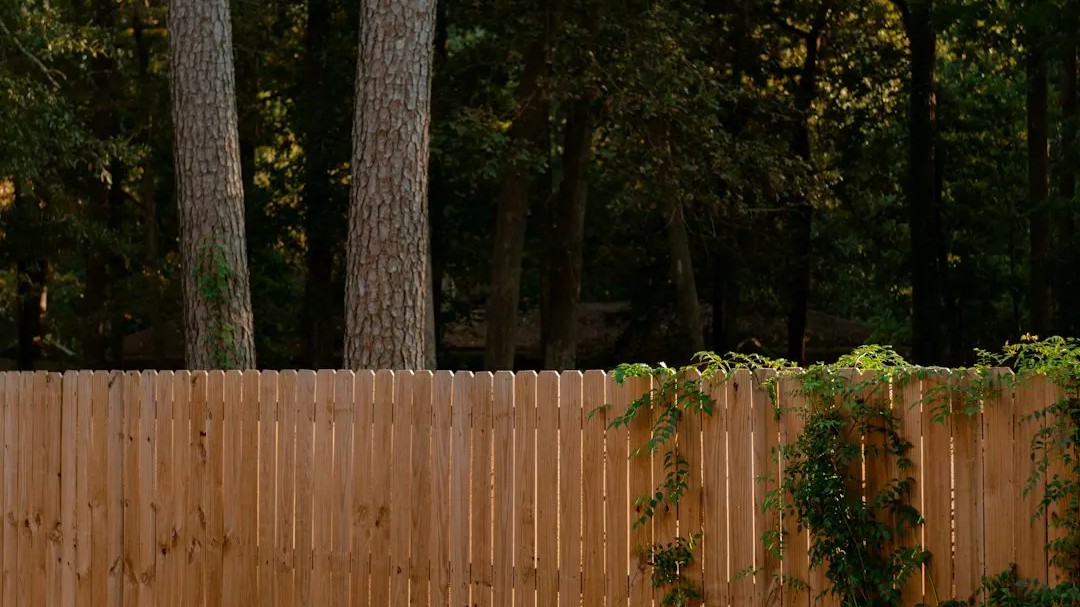 5 things homeowners assume are legal but often aren't