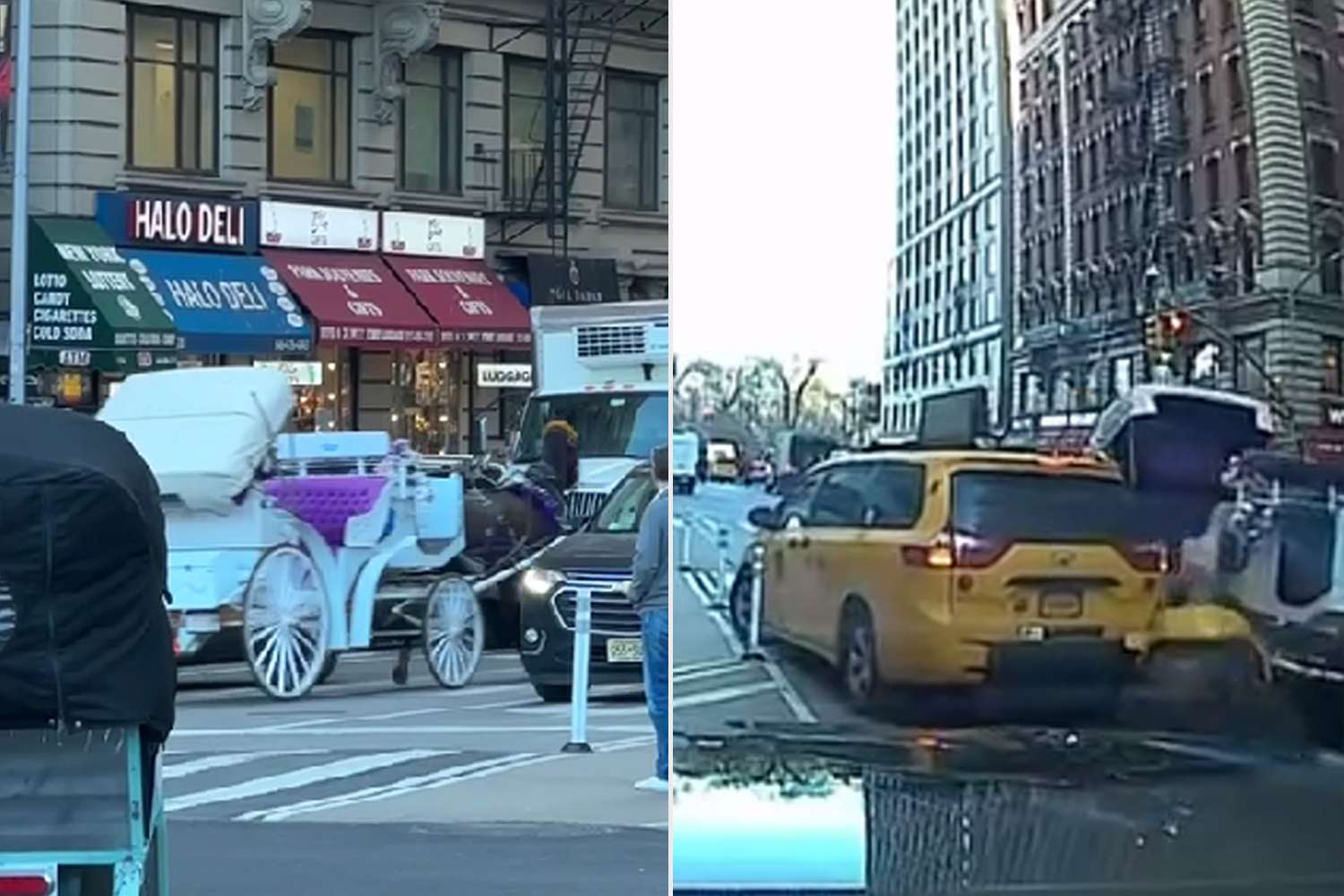 NYC carriage horse caught on camera running through Central Park ...