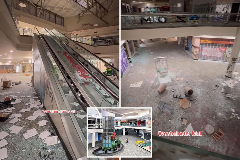 Shocking images show post-apocalyptic Calif. mall overrun by vandals ...