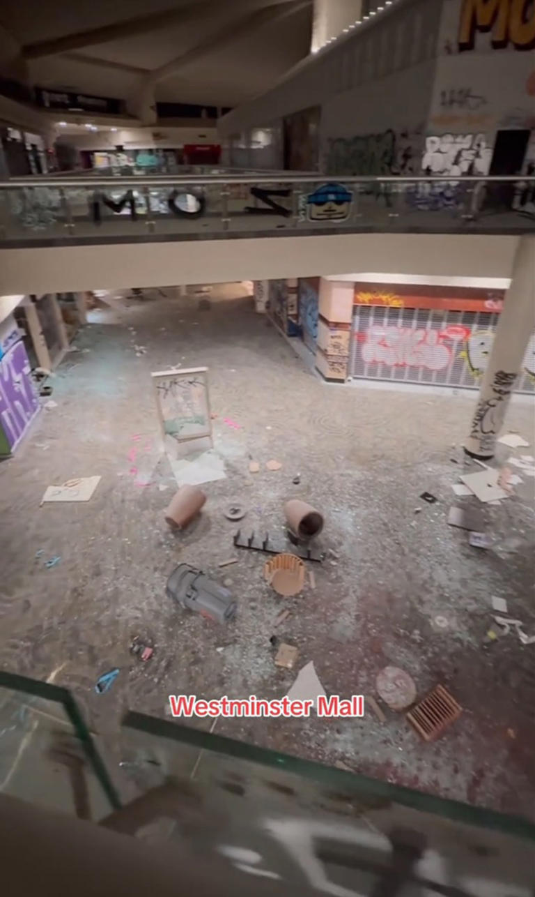 Shocking images show post-apocalyptic Calif. mall overrun by vandals ...