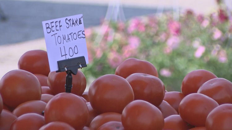 Grocery chain aims to expanding food access to those in need through ...
