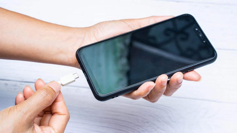 Qué significan los símbolos del cargador del móvil