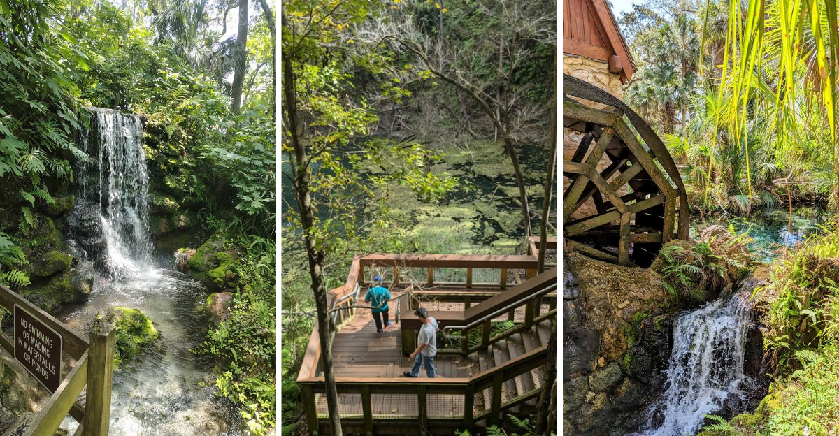 14 waterfalls across Florida that most visitors overlook