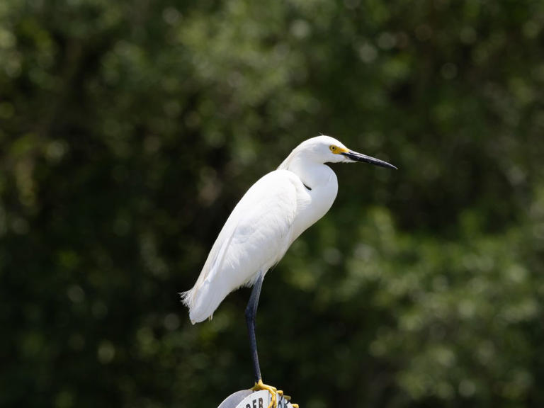 This Gulf-Coast city is emerging as the top warm-weather retirement ...