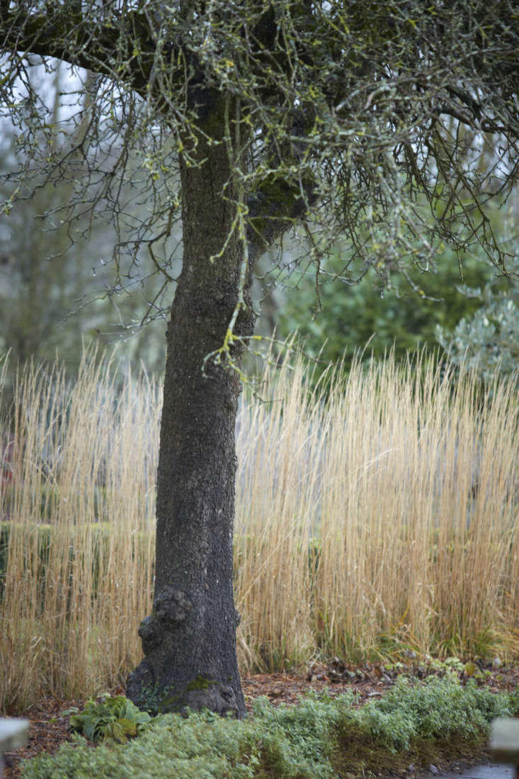 Magic in Maidenhead: An English garden that glows in the winter