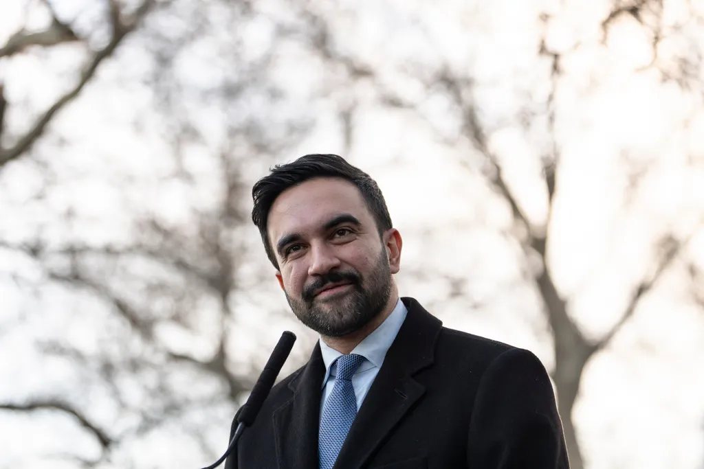 Mamdani and Goldman attack DHS over detention of New York City Council ...