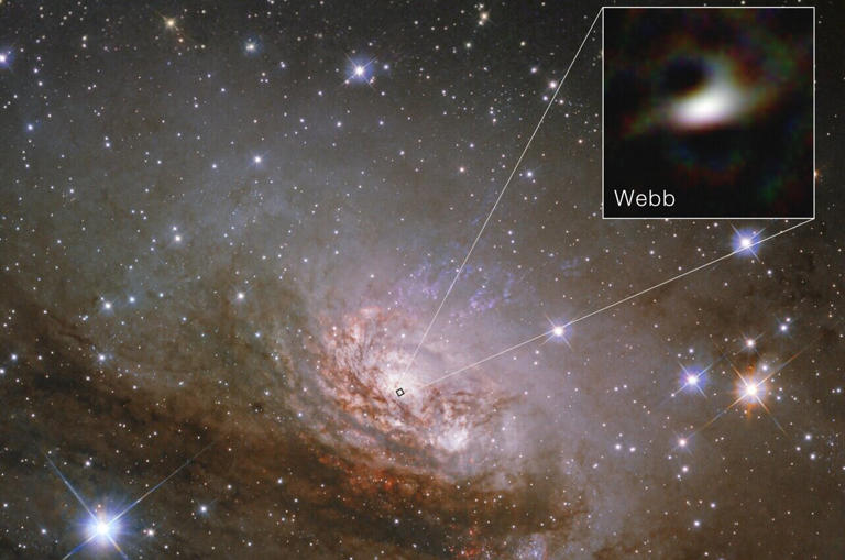 Webb delivers unprecedented look into heart of Circinus galaxy