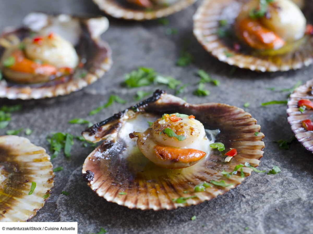 Quelle est la différence entre pétoncle et Saint-Jacques