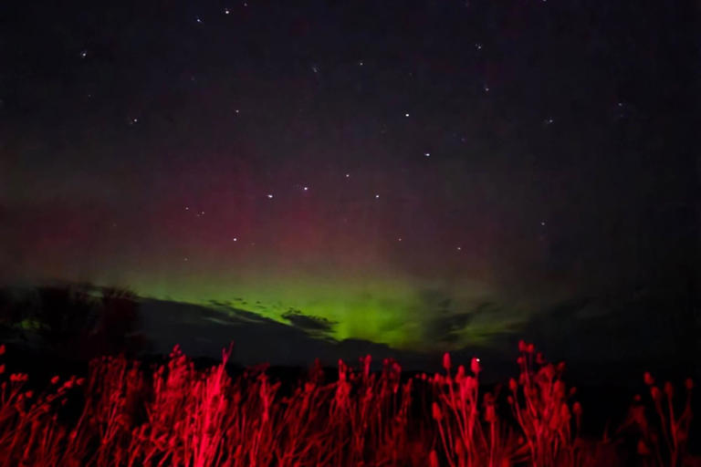Northern lights, meteors and exploring galaxies: My night with Astro ...