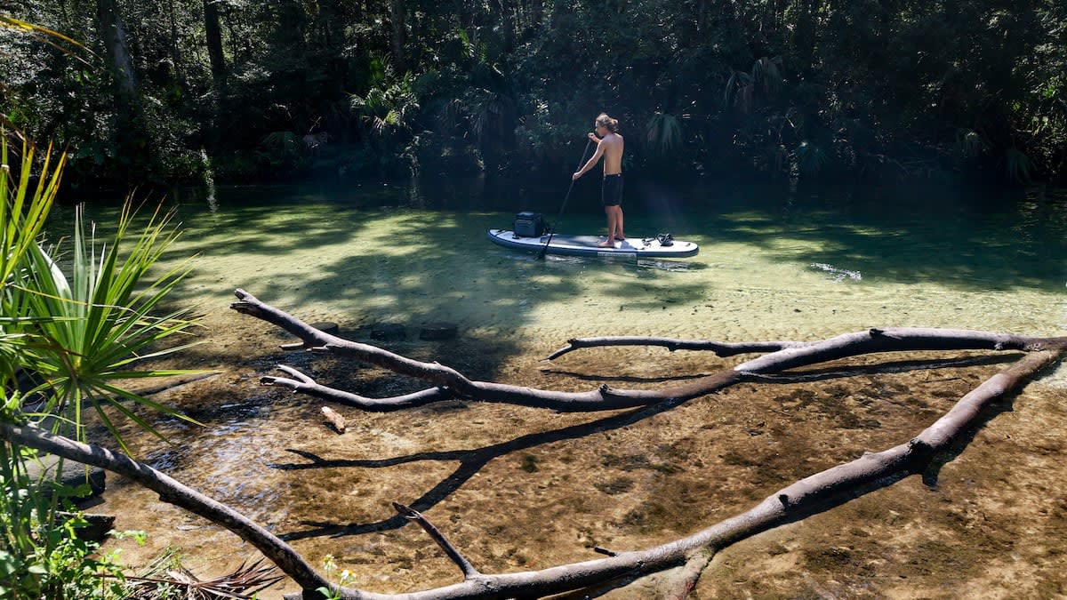 Florida state senator says he has a fix for dirty waters