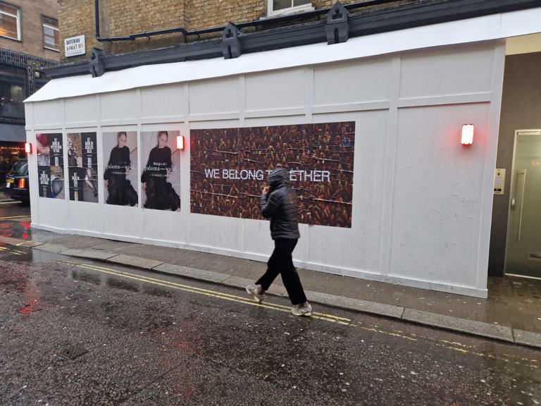 'We belong together' - Harry Styles fans are convinced mysterious ...