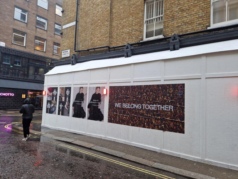 'We belong together' - Harry Styles fans are convinced mysterious ...