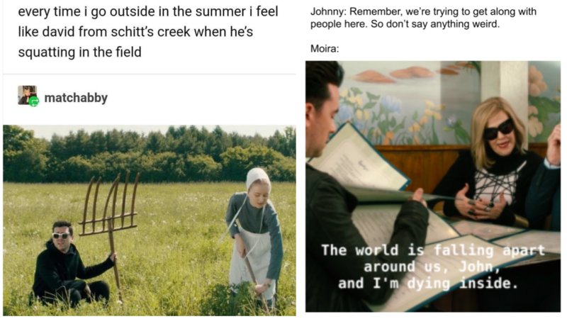 The best meme formats from 'Schitt's Creek'