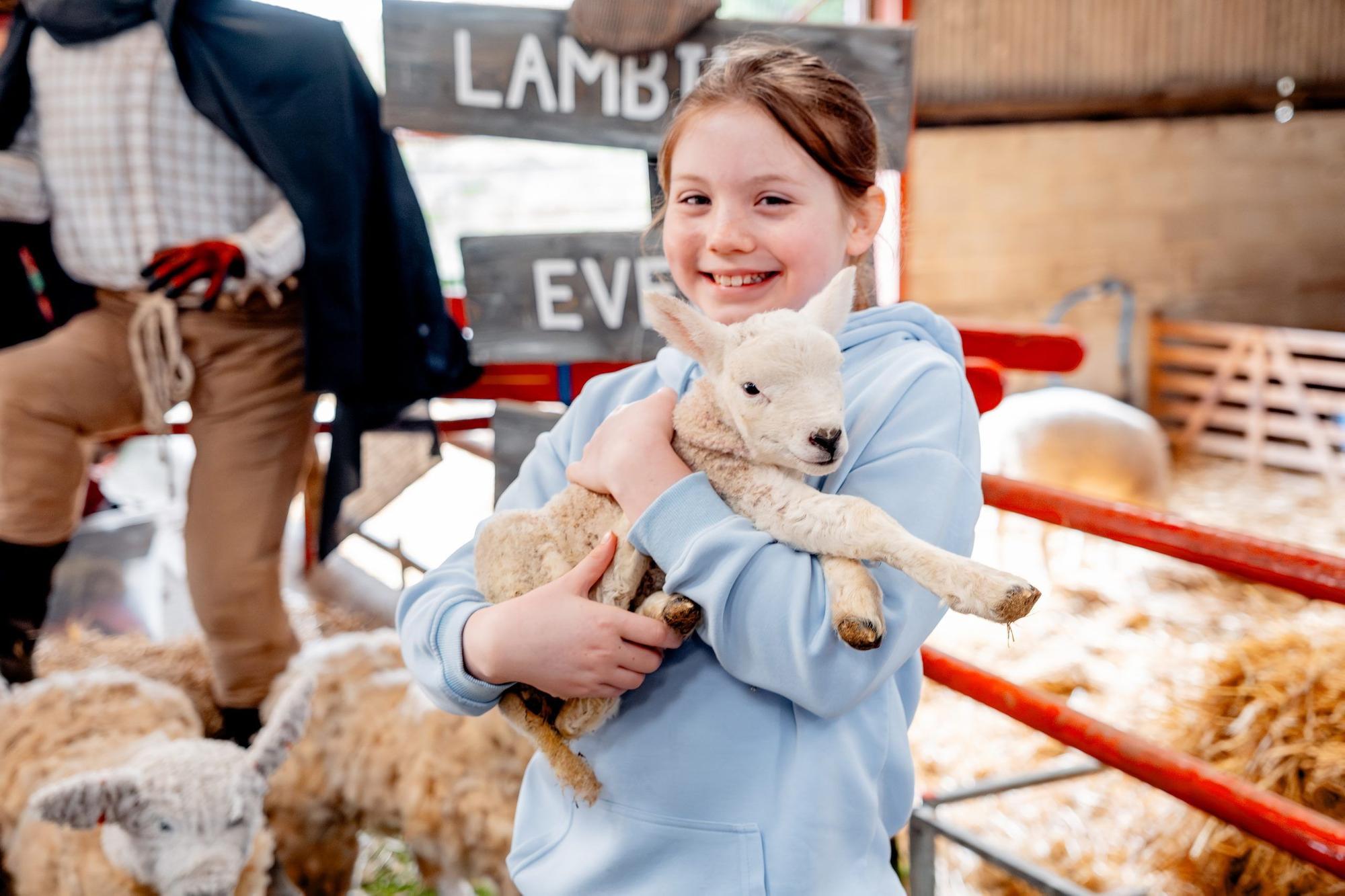 Ewe’ll love lambing experiences at Humble Bee Farm