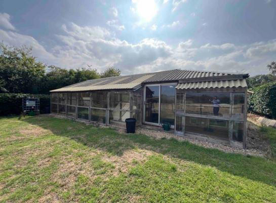 Plans to convert South Downs commercial cattery into bungalow