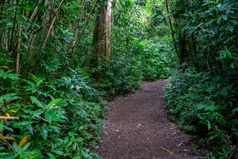 The best hiking trails in each state for beginners