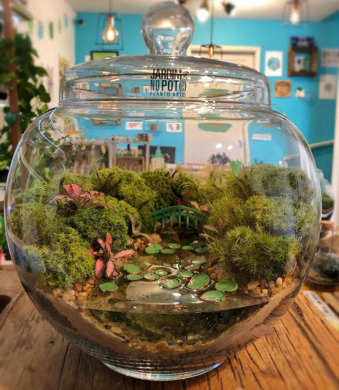 Miniature worlds: 30 self-sustaining ecosystems in glass