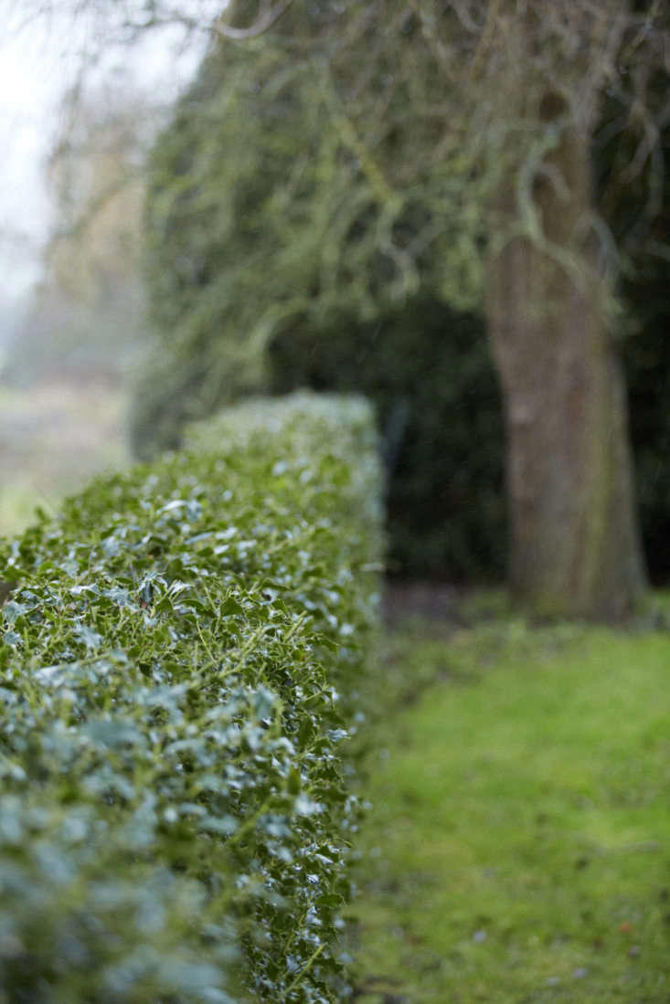 Magic in Maidenhead: An English garden that glows in the winter