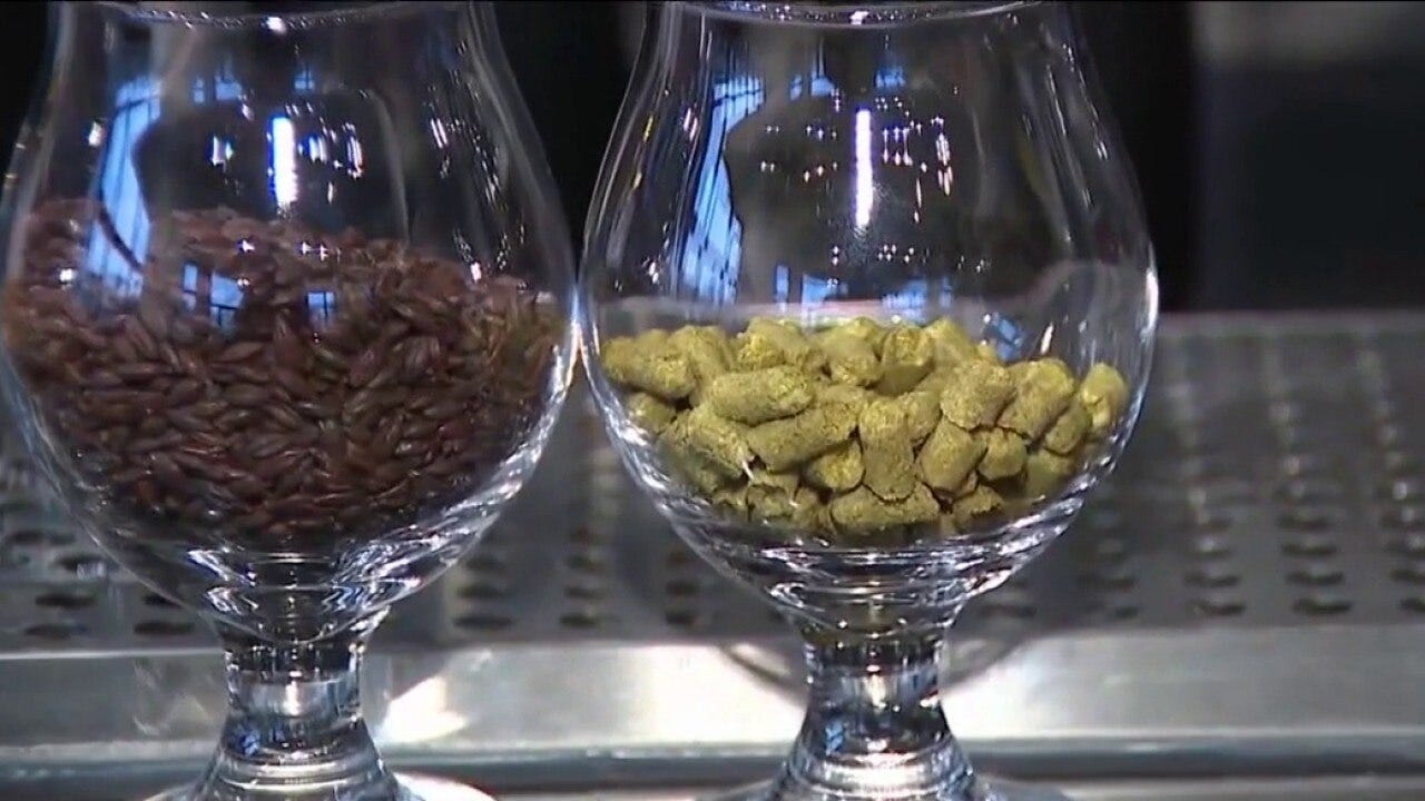 Overview of Tailwinds Brewing