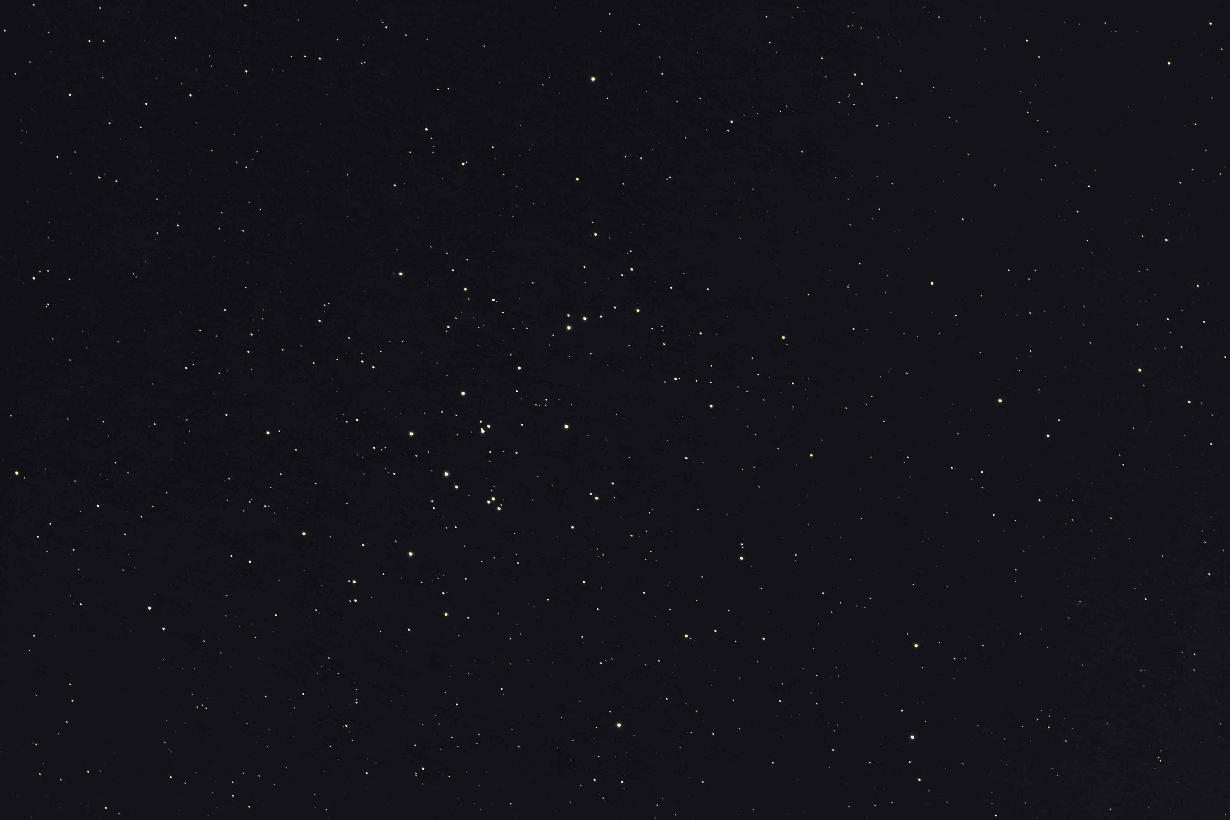 A swarm of stars is visible throughout January—how to see the 'Beehive ...