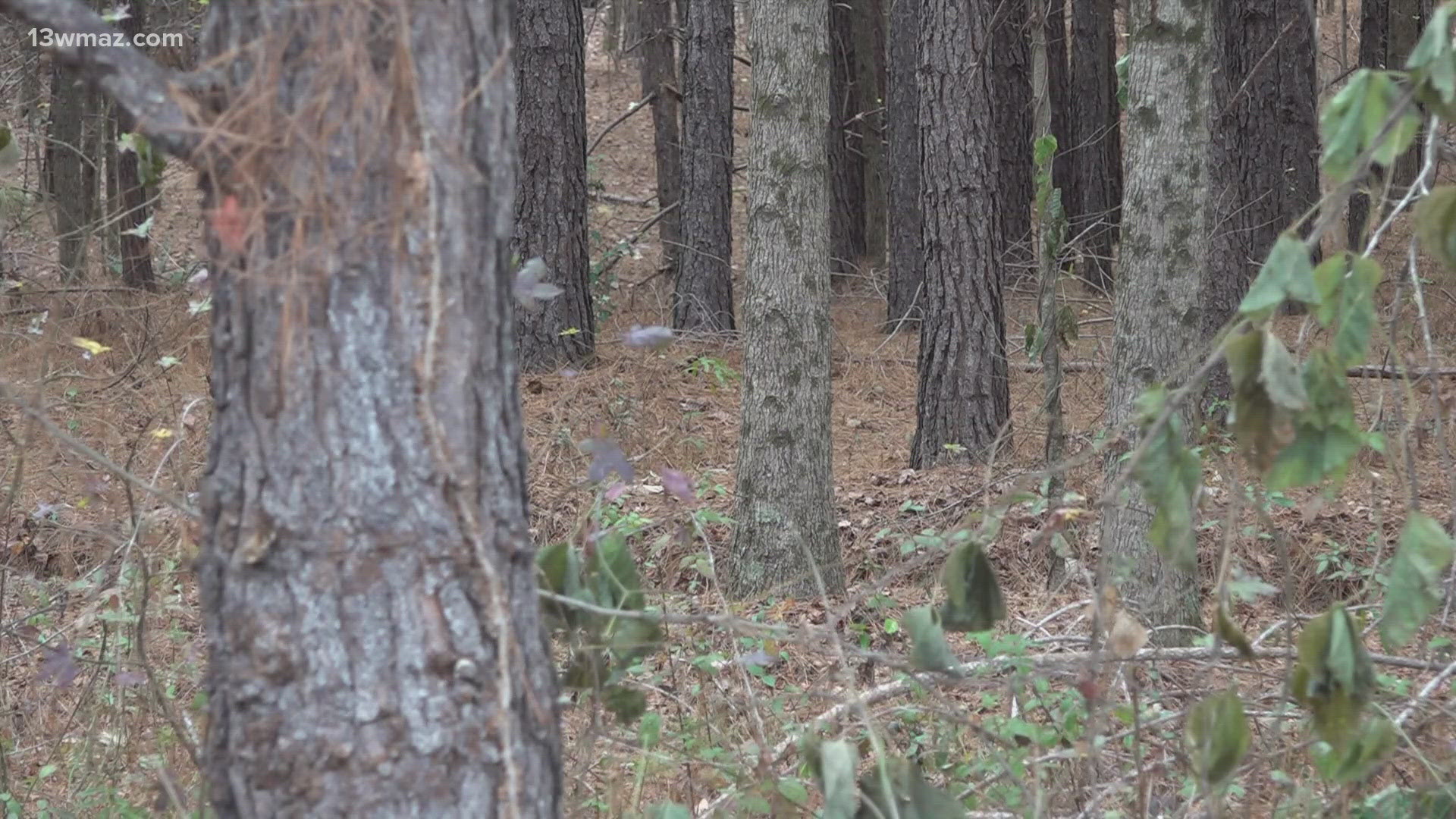 New report raises concerns over emissions, water infrastructure for ...