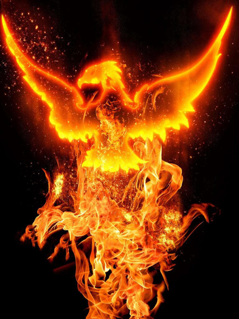 Every Country Has a National Animals — But These are the 20 Weirdest ...