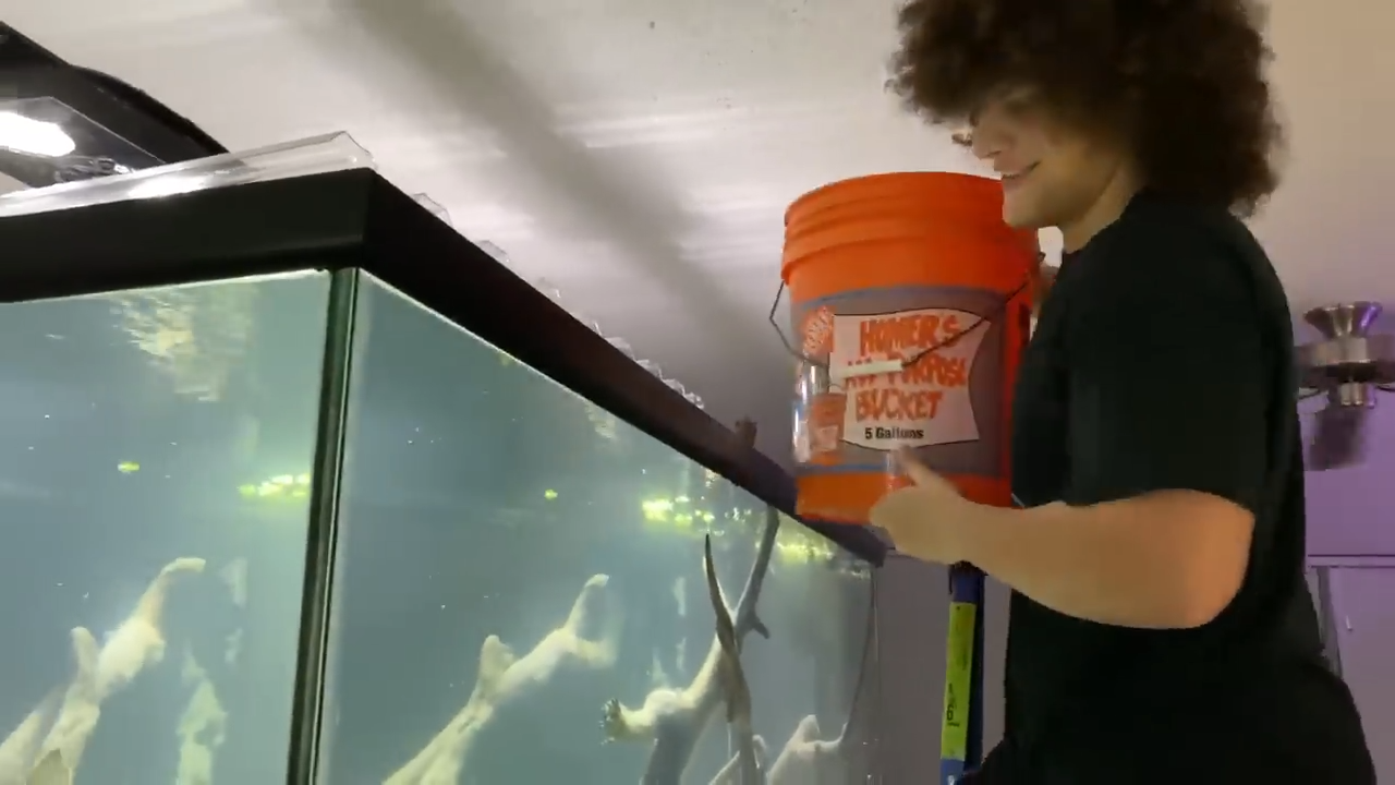 What happens when monster fish are moved into a giant aquarium